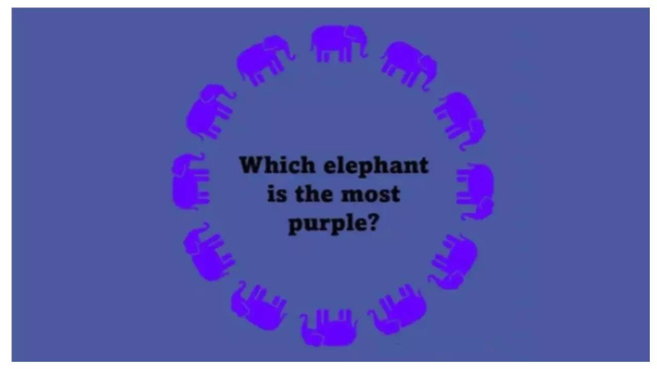 Optical illusion: Which elephant 'appears' the most purple in colour?