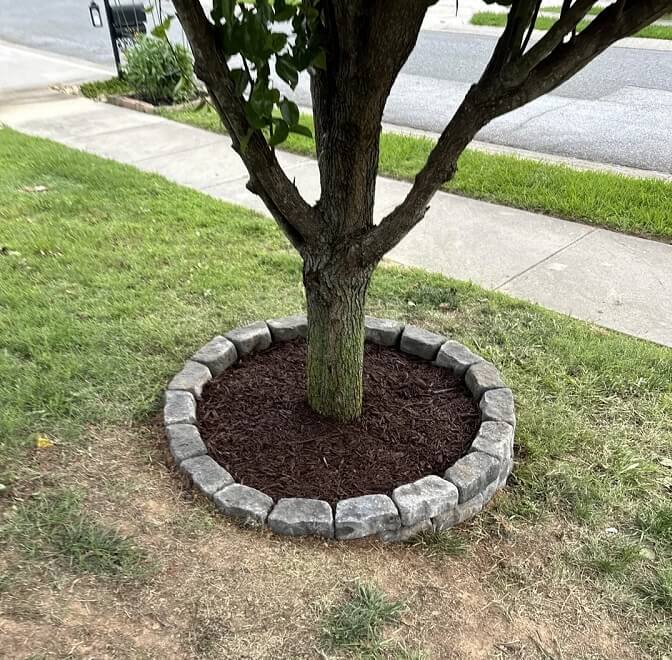 Homeowner met with warnings after sharing photo of common yard mistake ...