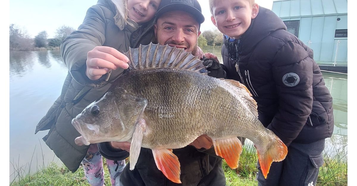 One of the biggest perch in the UK has died