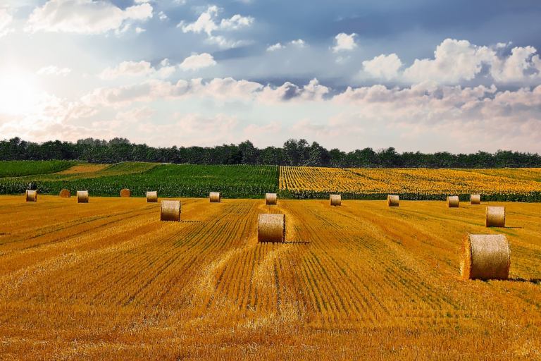 Atlas Sgr entra nel real estate con il fondo Terre agricole italiane