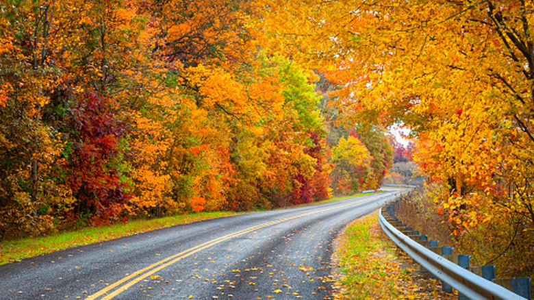 This Lesser-Known National Park Is The Perfect Place To See Fall Foliage