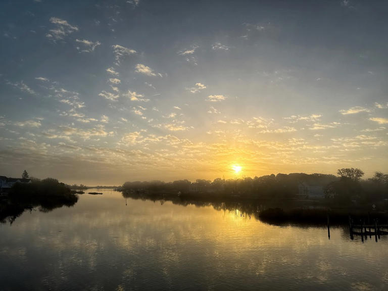 The role of beavers in flood prevention