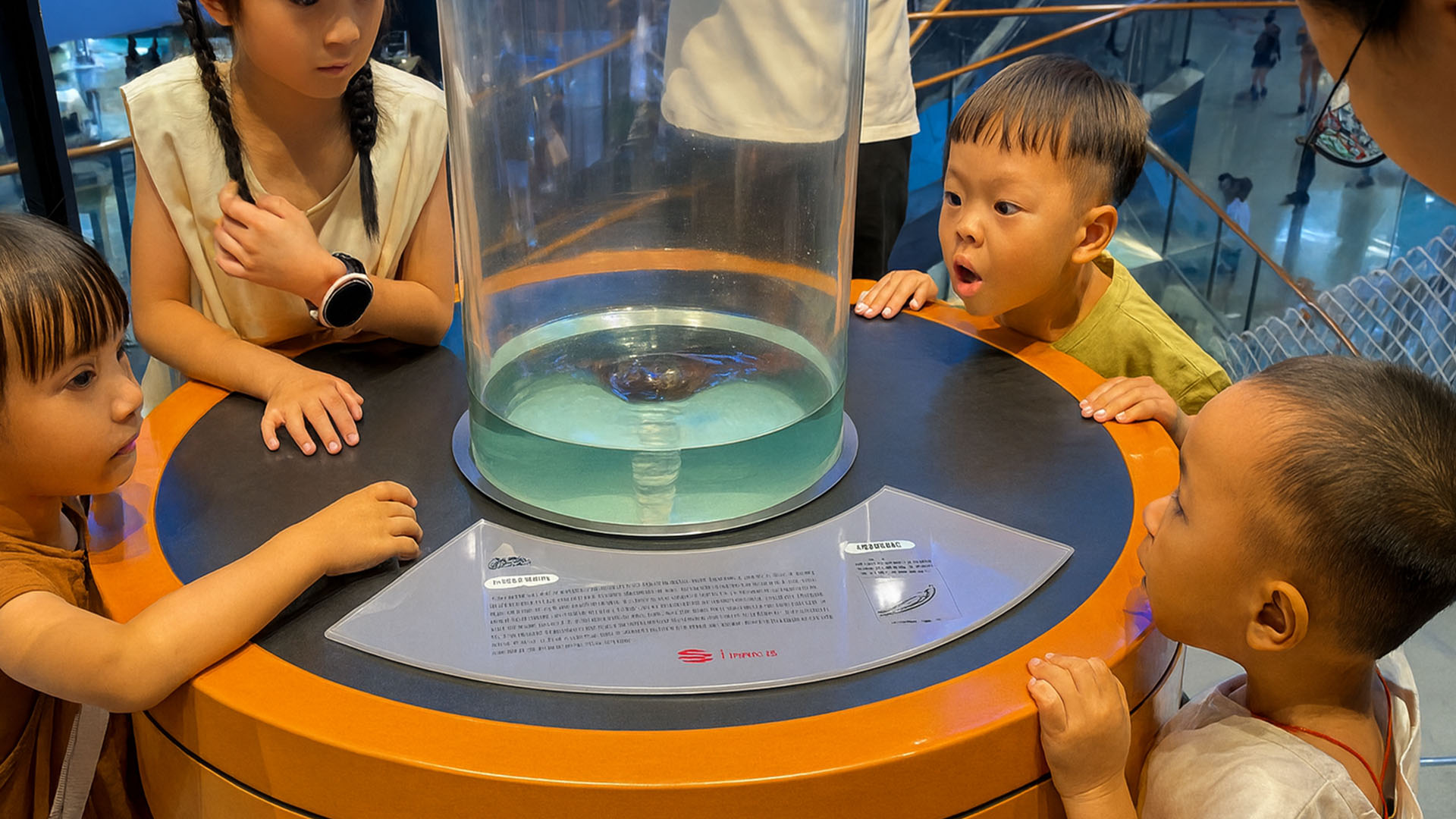 Learning Through Science Displays – China 4K