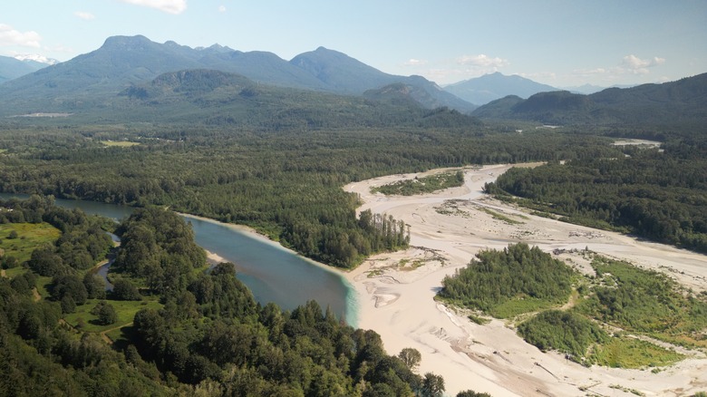 This Beginner-Friendly Hiking Trail In Washington Is Perfect For A ...