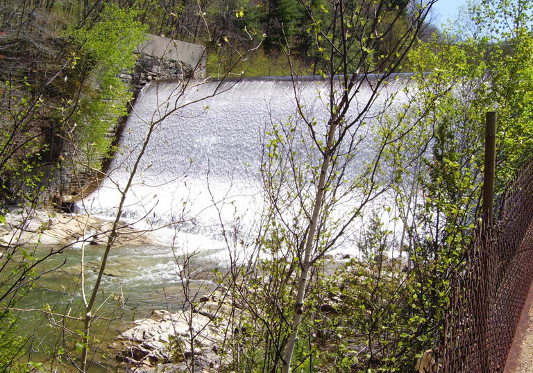The role of beavers in flood prevention