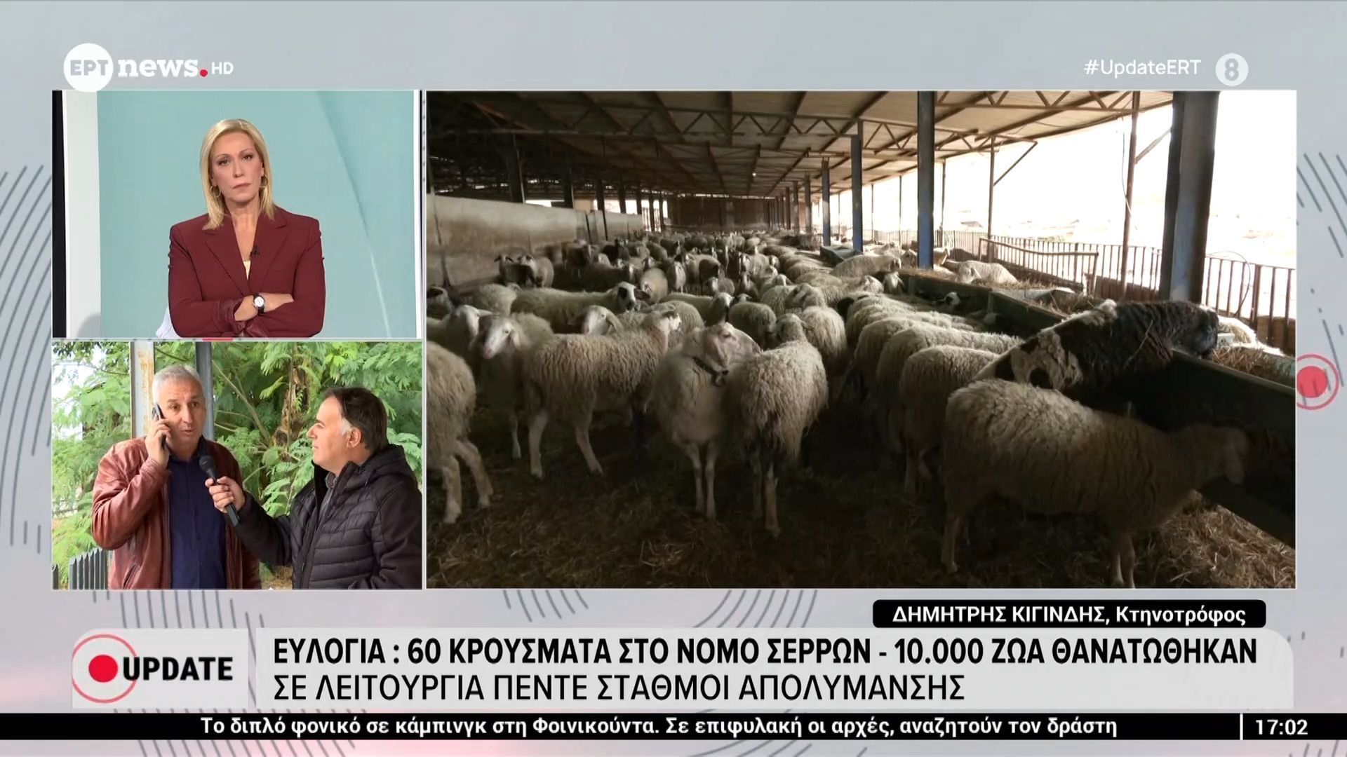 Ευλογιά: 60 κρούσματα στον Νομό Σερρών - 10.000 ζώα θανατώθηκαν - Σε ...