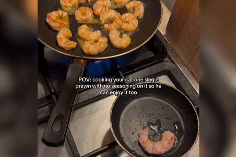 Woman cooks single prawn with no seasoning—and the reason melts hearts