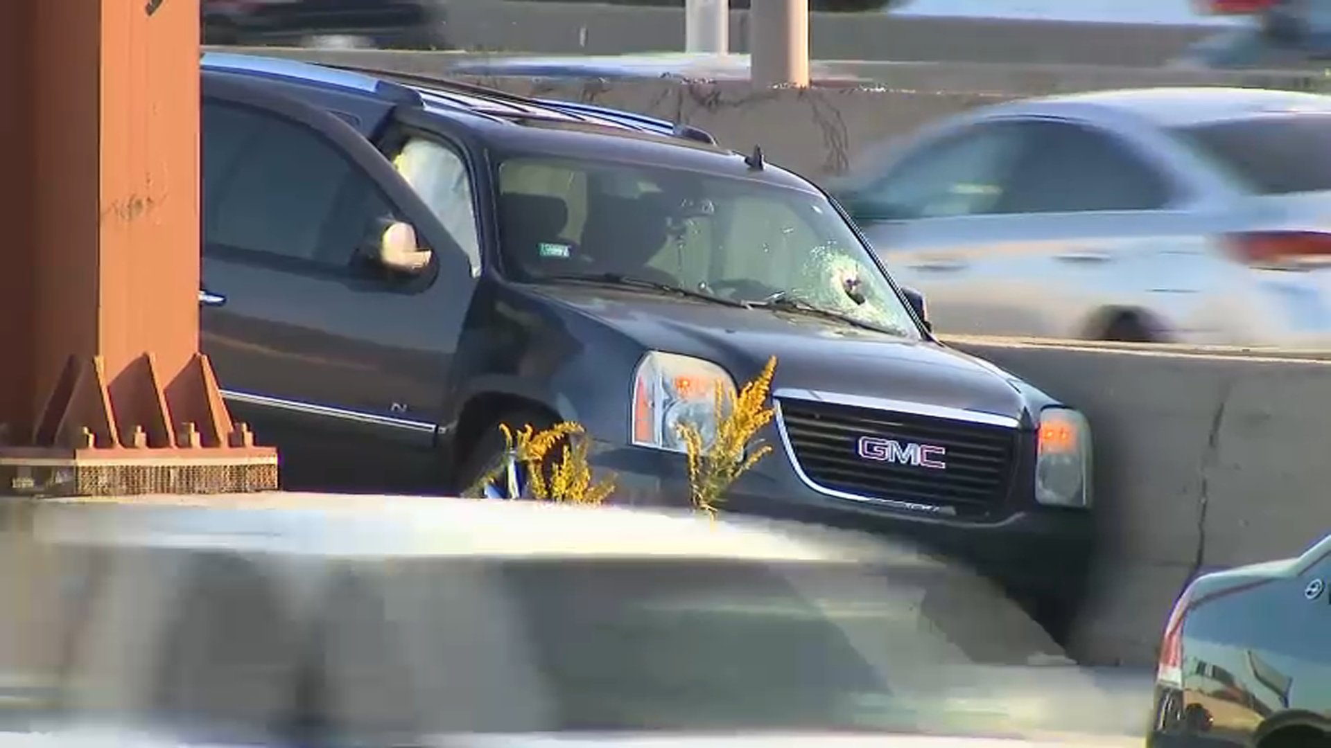 Driver killed by metal object that pierced windshield on Dan Ryan ID'd