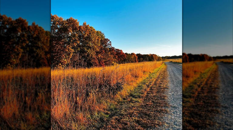 Between Des Moines And Springfield Is Iowa's City With Lovely Fall ...