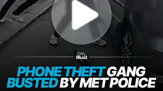 Met police smash phone theft gang