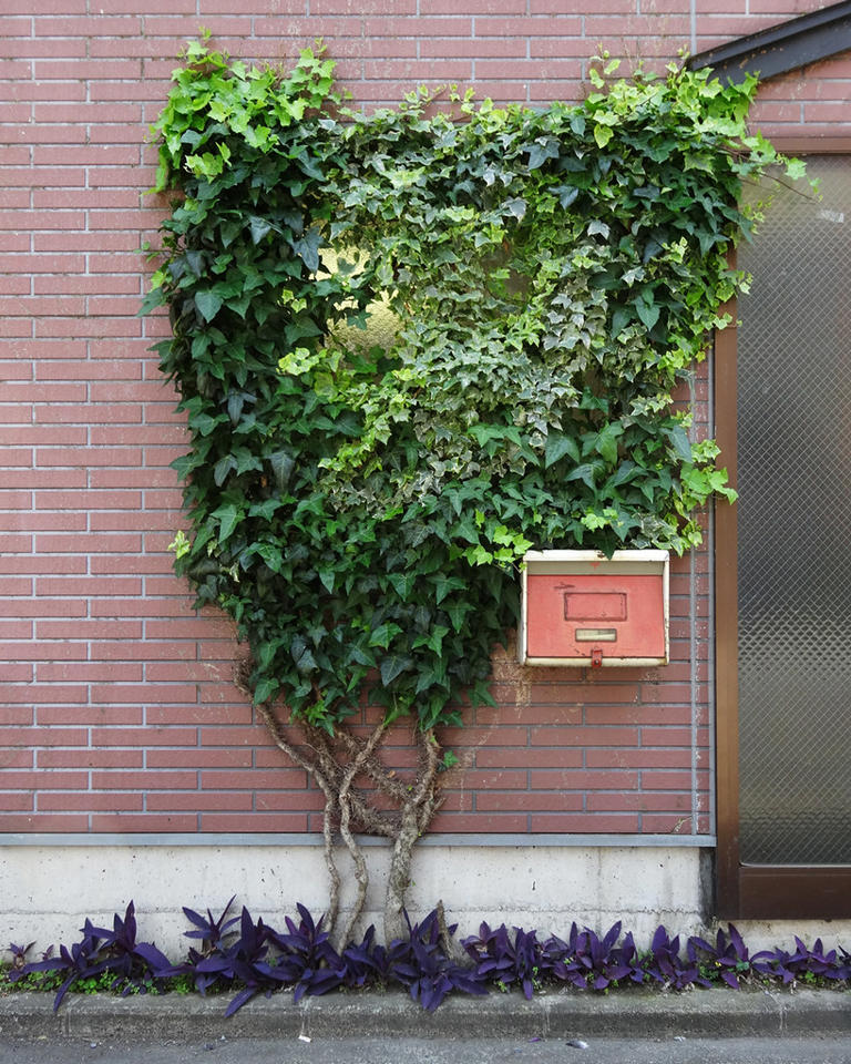 How plants communicate climate stress through chemicals