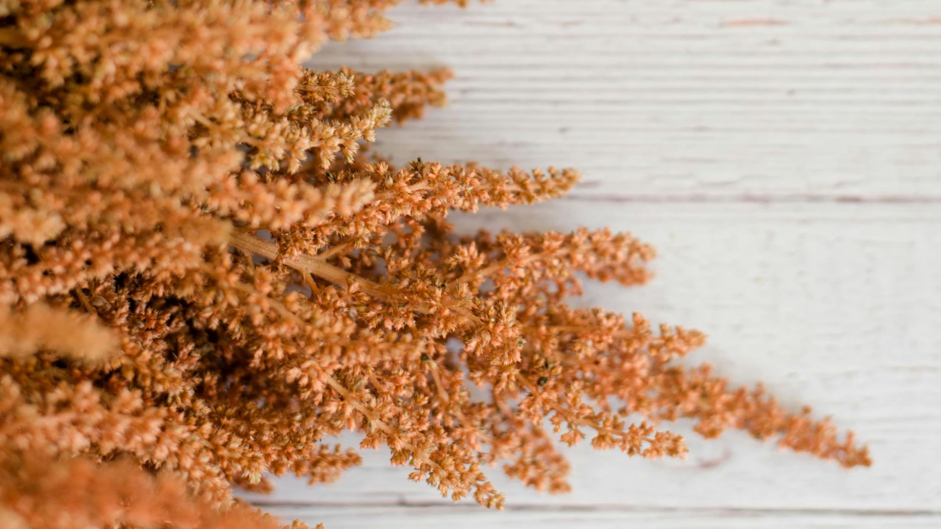 20 aliments oubliés qui régnaient autrefois sur le monde