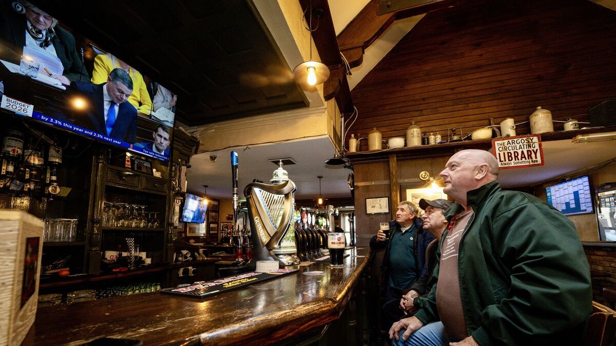 Budget 2026: €10 increase to core social welfare rates; minimum wage ...