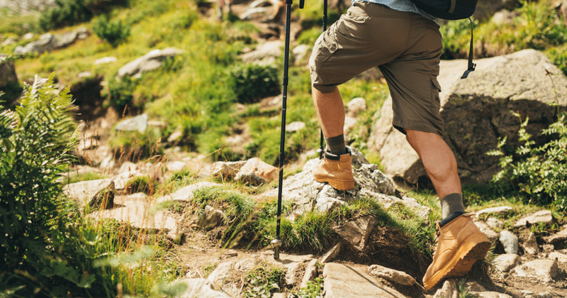 Man goes on a solo trip to hike the Appalachian Trail, but is forced to ...