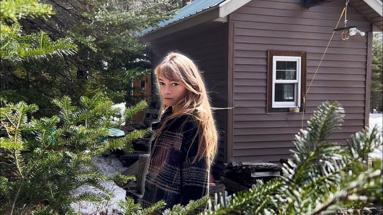 My new tiny cabin in the woods 🌲