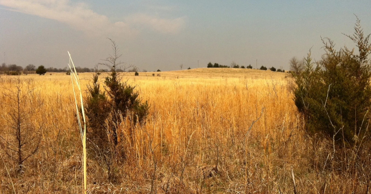 Discover the Autumn Magic on This Picturesque 7-Mile Kansas Hike