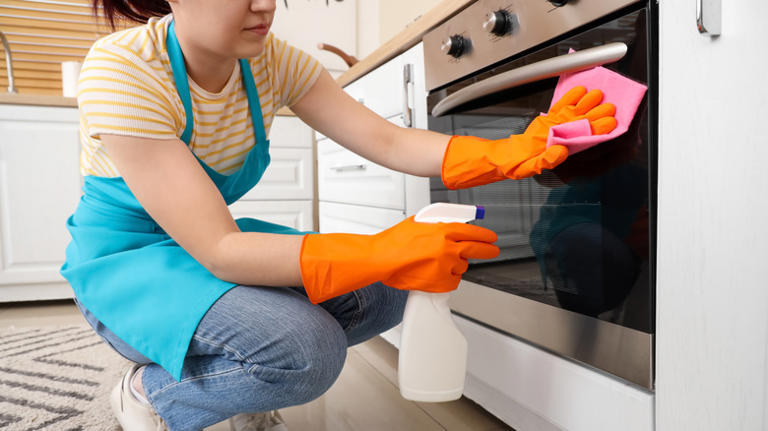 Here's The Ratio You Need To Clean Glass Oven Doors So They Sparkle ...