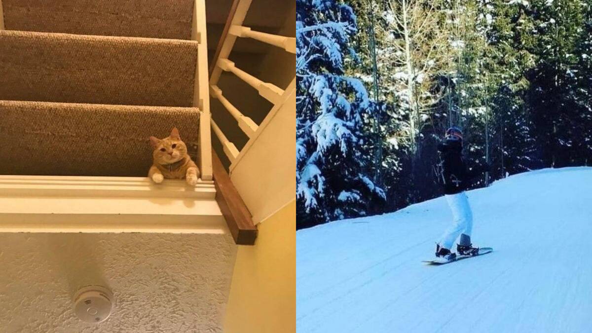 Photos that perfectly captured split-second moments