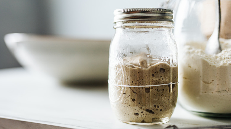 15 Absolute Best Tips For Working With Sourdough