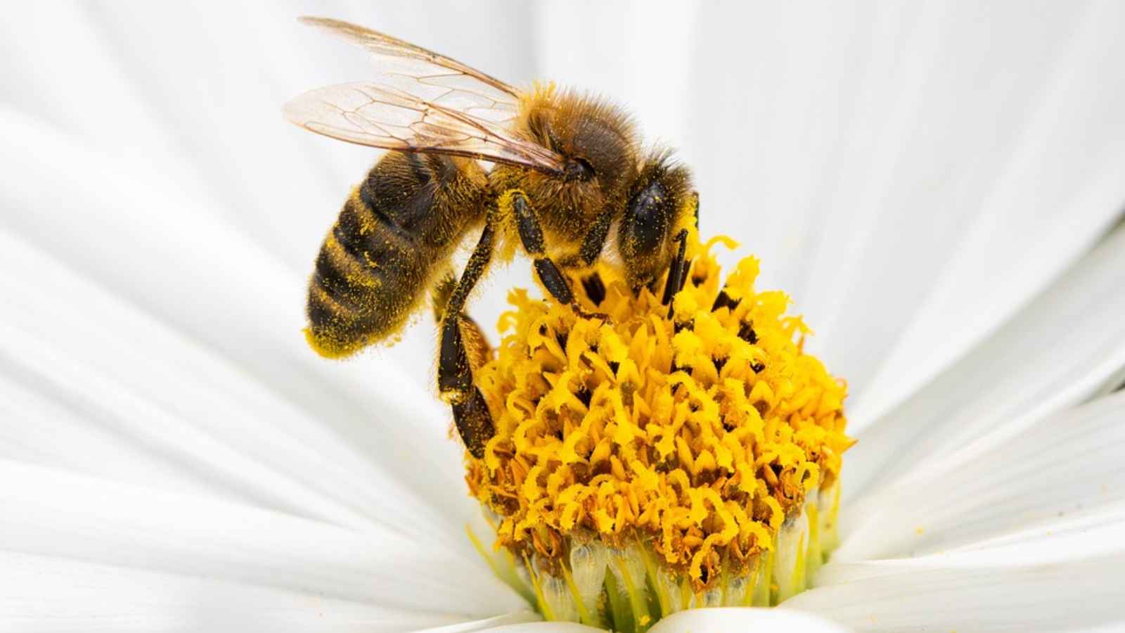 10 Things the World Is Rapidly Running Out Of