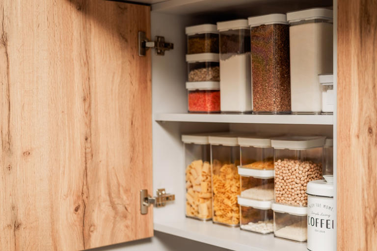 How to Get Rid of Moths in the Home