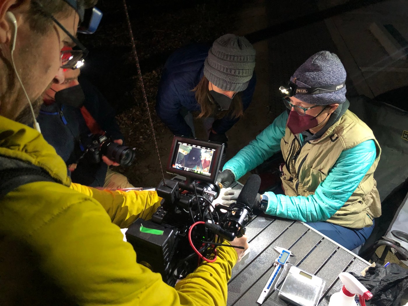 Santa Cruz bat scientist Winifred Frick featured in documentary on bat ...