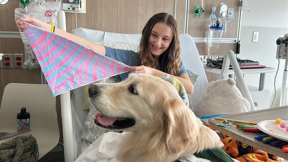 Pawsitive healing: hospital dog brings comfort & joy to young patients ...