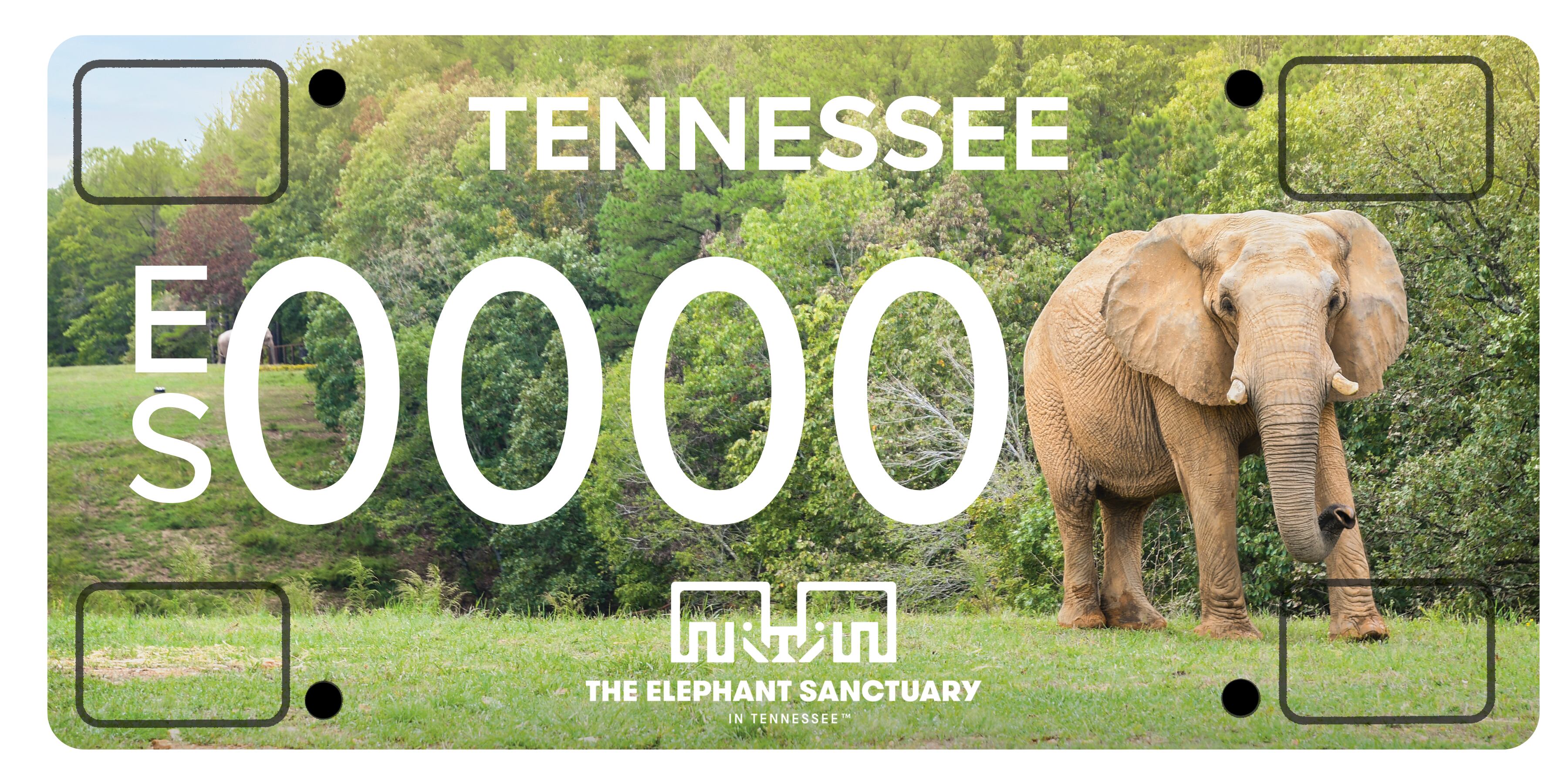 Elephant Sanctuary introduces specialty license plate to raise funds