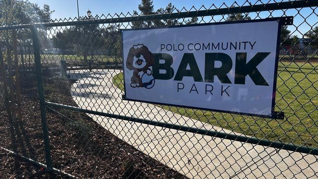 New Bark Park opens at Polo Community Park in northwest Bakersfield