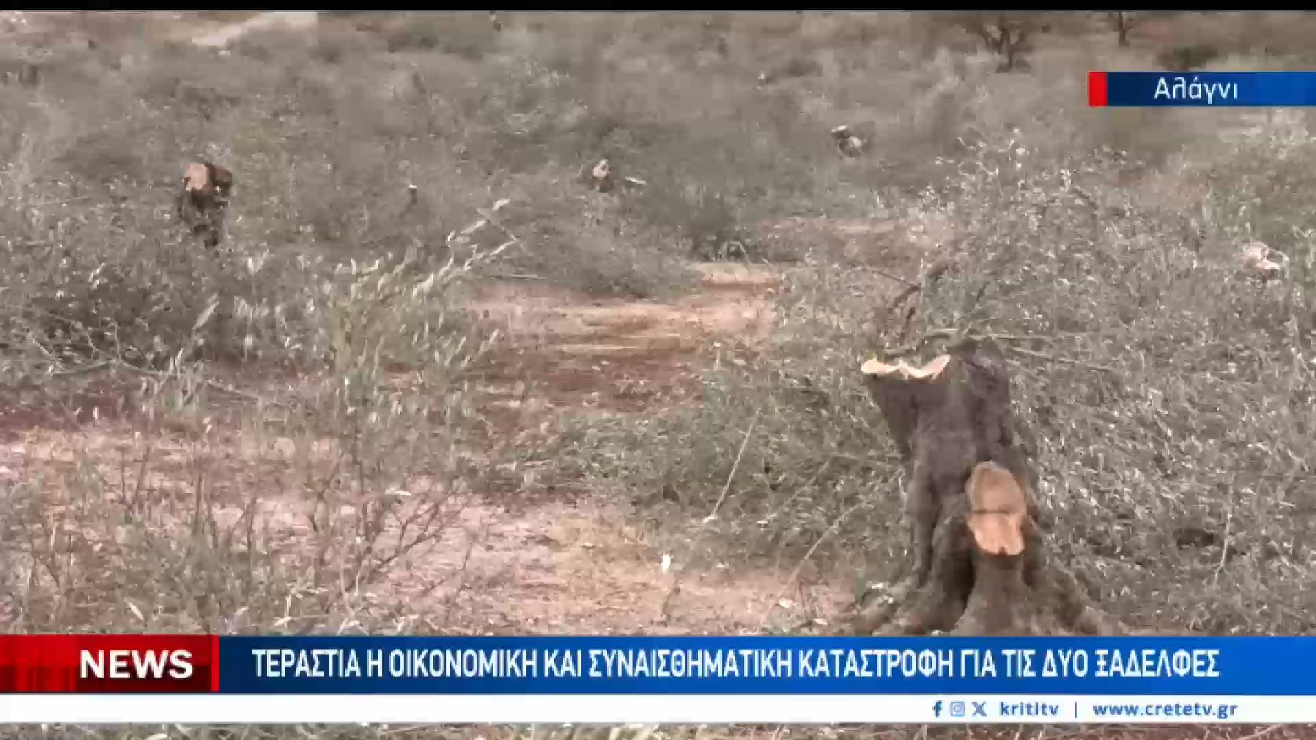 Σοκ:Μπούκαραν και τους ρήμαξαν το λιόφυτο