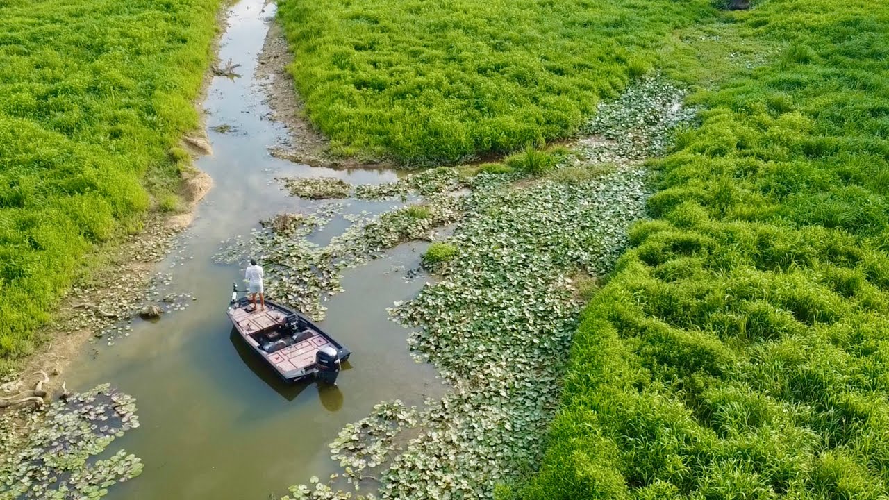 Lake drained and only this remains from the massive fish