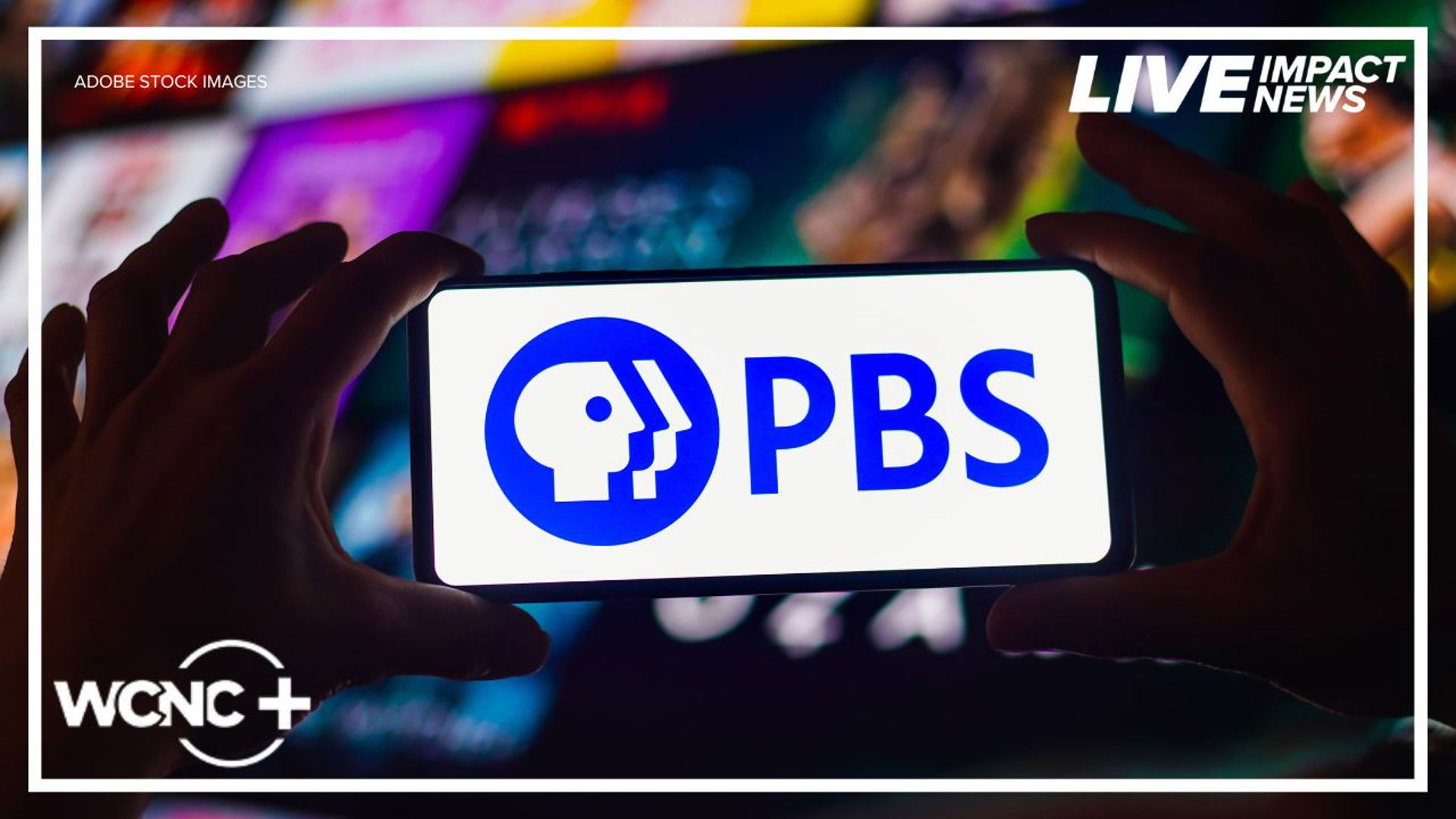 The impacts of public broadcasting beyond educational programming
