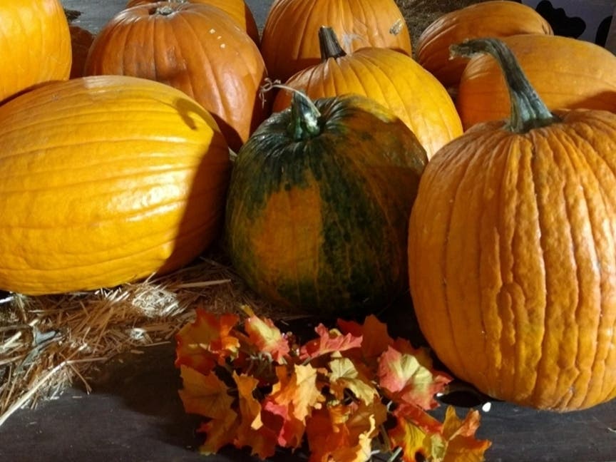 Celebrate Autumn At Point Pleasant Fall Fireworks Festival