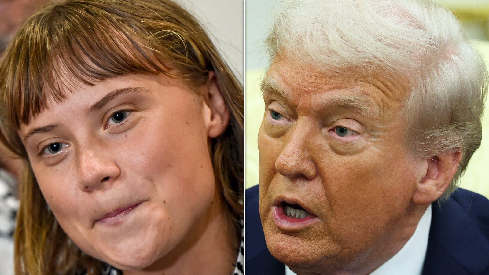 Greta Thunberg Flips Trump's 'Anger Management' Dig Back At Him