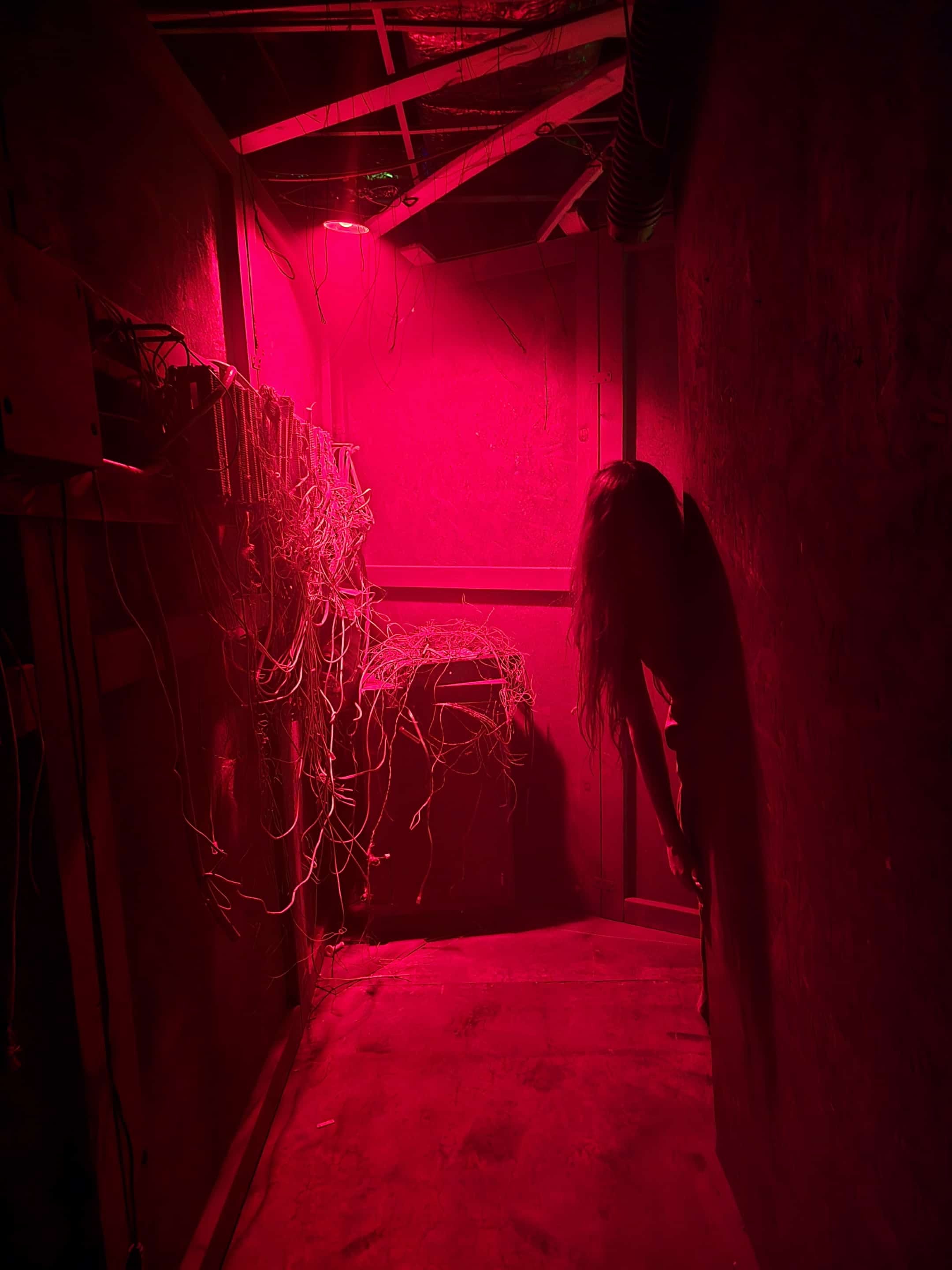 Haunted houses point the way to spooky horror in Amarillo area