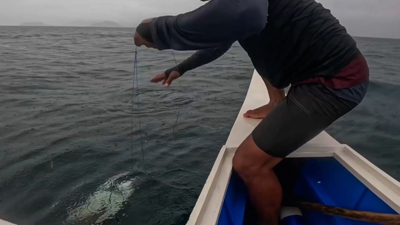 The magic of marine life