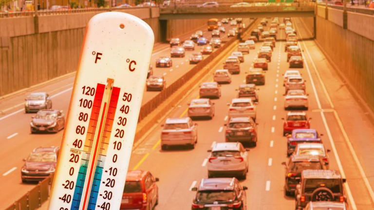 Florida confirms 2nd case of ‘zombie deer’ disease