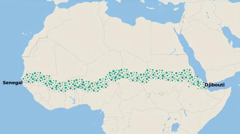 Africa's 'great green wall' is stalling: In Senegal very few planted ...