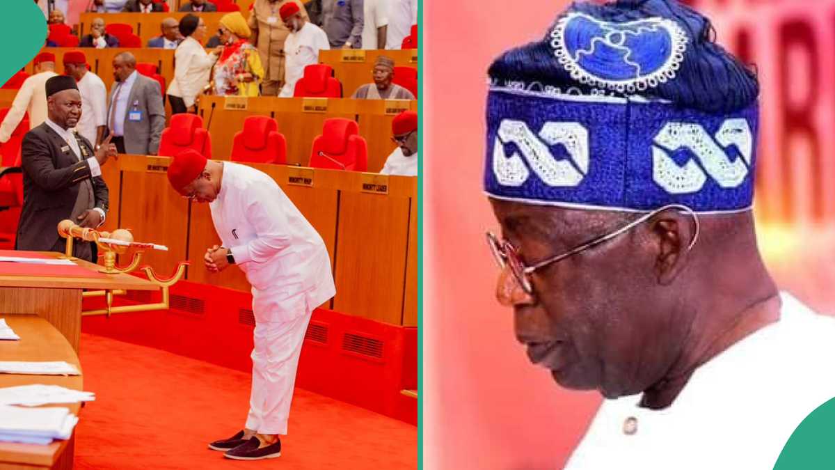 Breaking: Jubilation as Tinubu makes prominent appointment