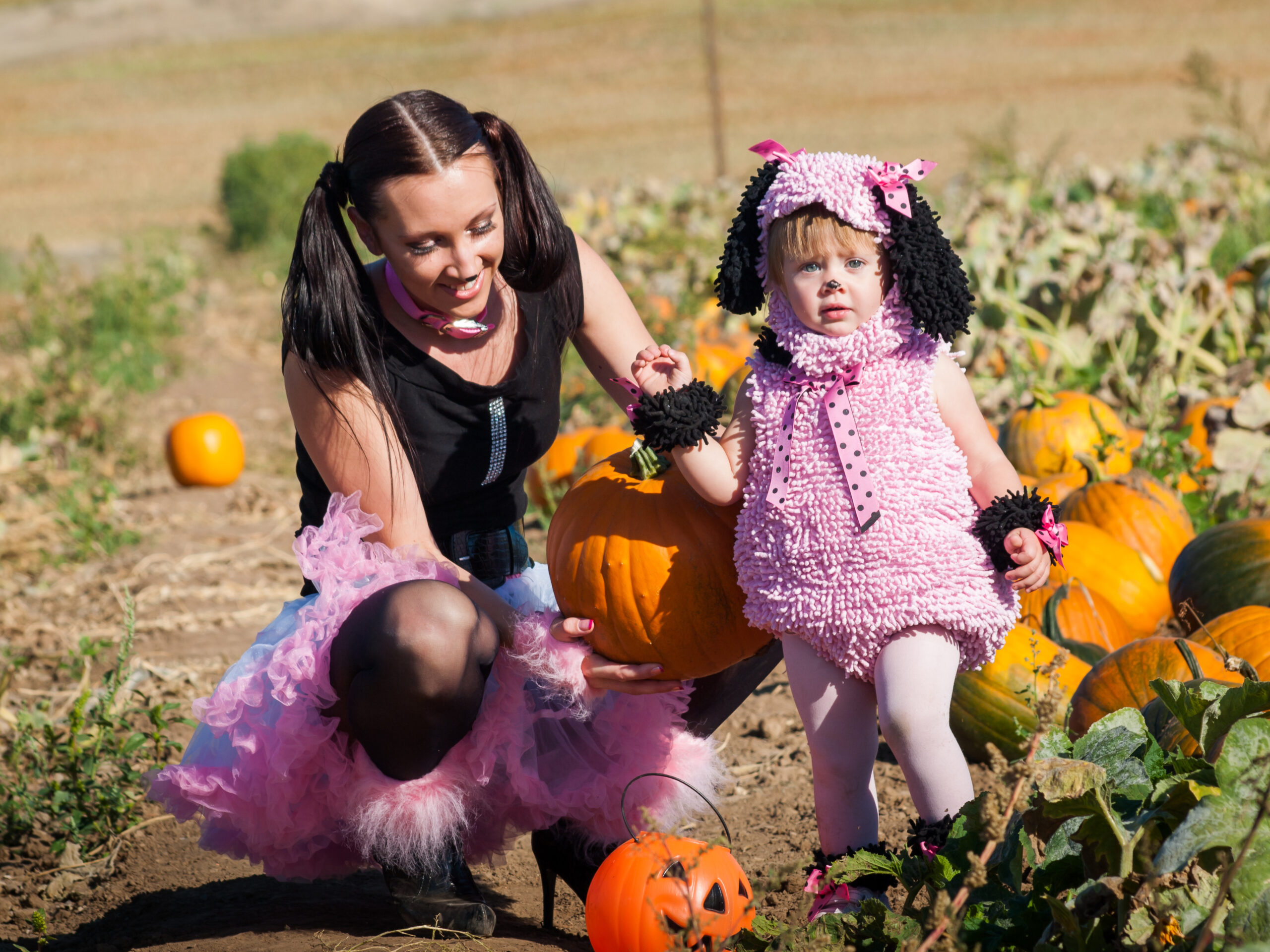 6 Pumpkin Patches With Activities Beyond Picking Pumpkins
