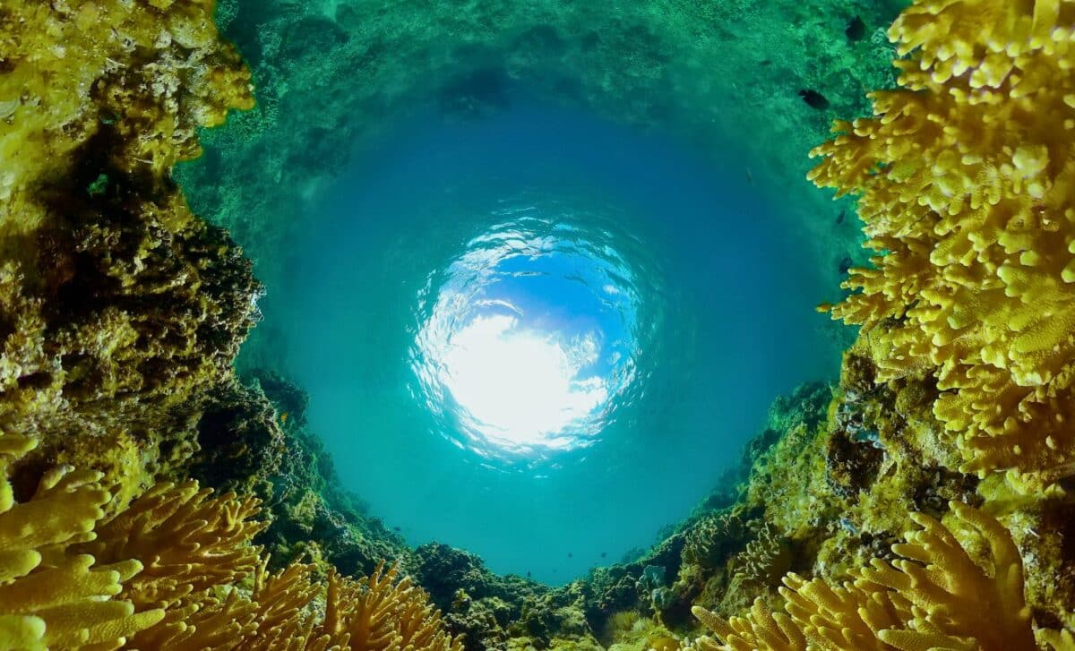 Scientists Discover Ancient Signals That Paint a Surprising Picture of ...