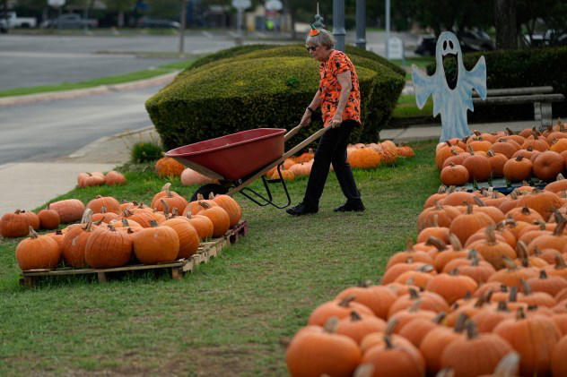 Northeast drought leaves empty pumpkin patches, thirsty bees and fading ...