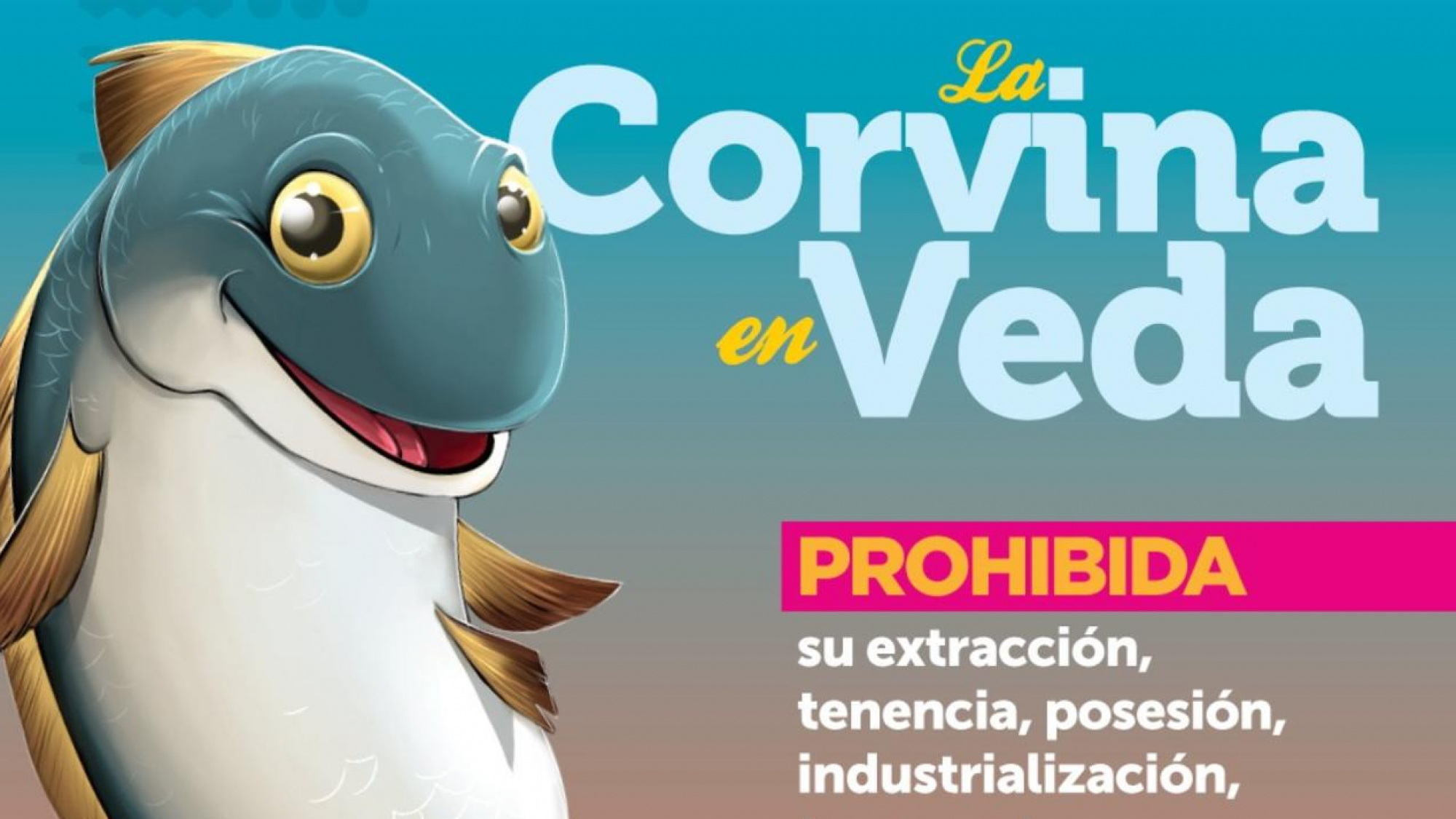 La corvina entrará en veda extractiva durante octubre y noviembre