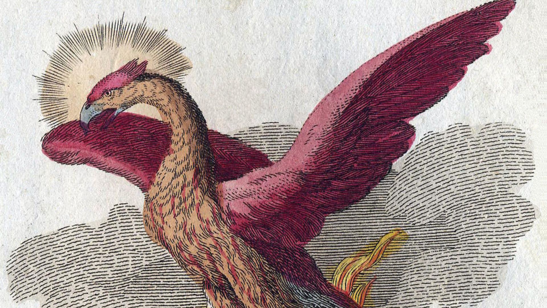 10 Phenomenal Mythical Creatures & 10 That Are Just Plain Weird