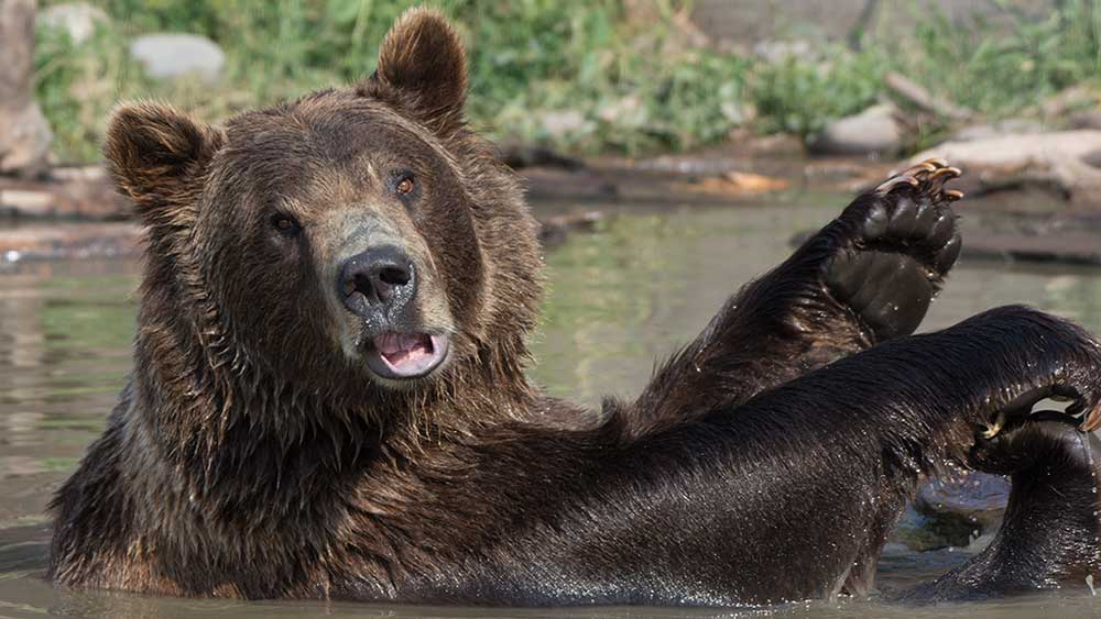 Stock Market Today: S&P 500 Ends Win Streak; Tesla's New Price Tag ...