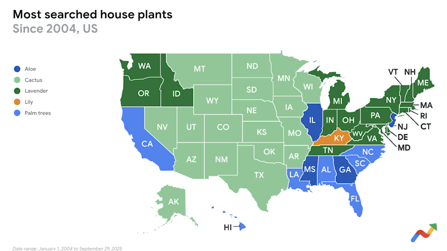 Map Shows the Houseplant Each State Is Searching for Most