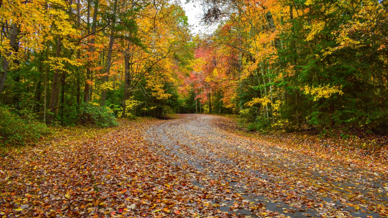 The best 15 fall adventures to enjoy without traveling far