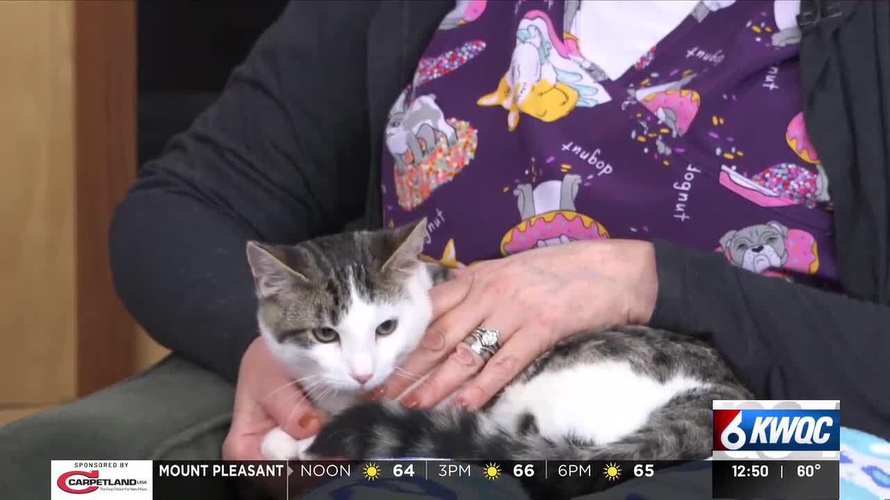 Tuesday’s adoptable pet: Meet Bert