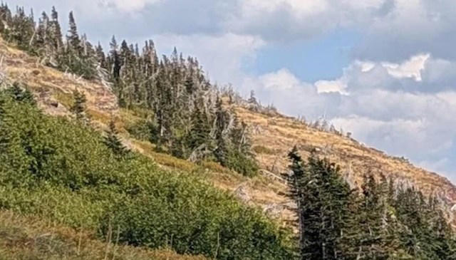 Hiker shares photo of thoughtless behavior on national park trail ...