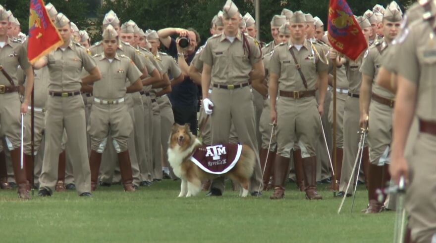 ‘Give her as much of a send-off as possible’: Texas A&M finalizes ...